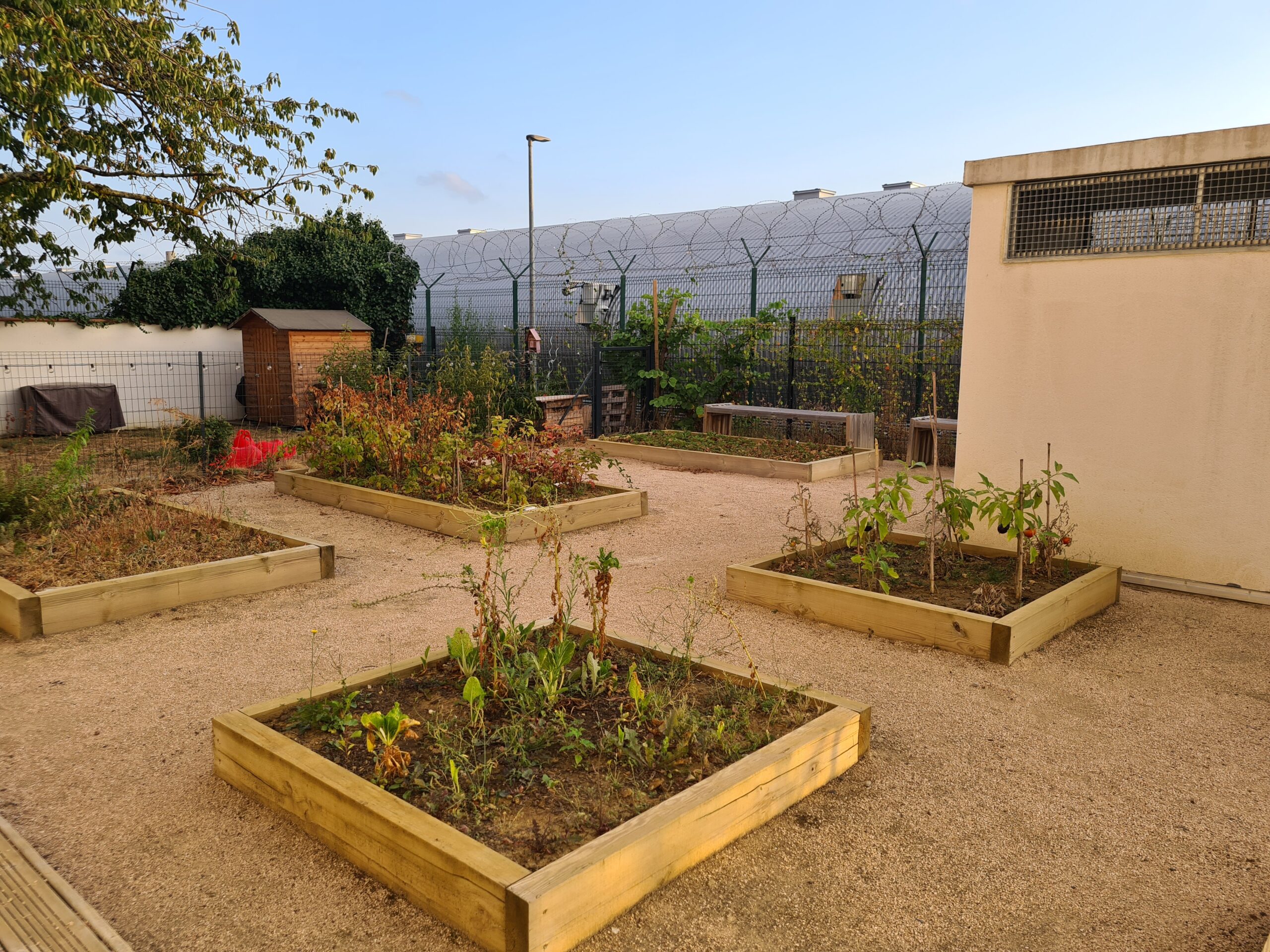 Les Jardins partagés sur nos résidences | Eclisse Promotion